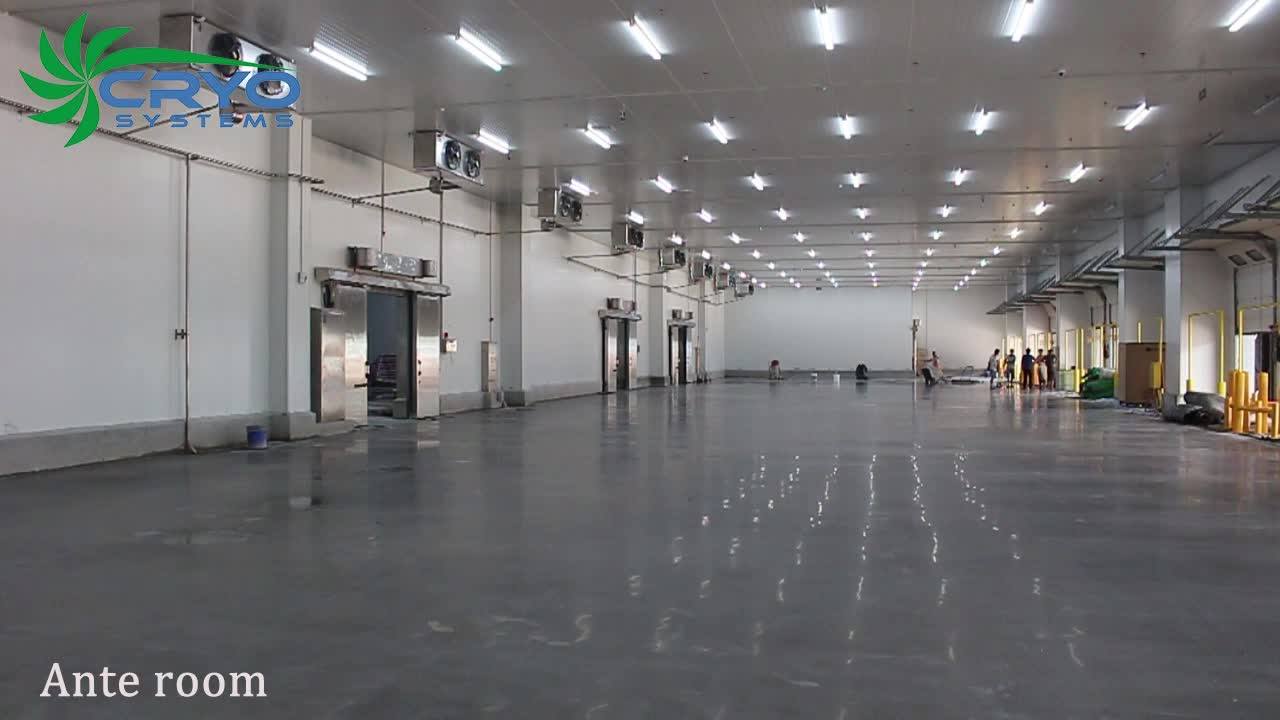 Deep Temperature Poultry Cold Room 100ton Cold Storage Indoor Unit For ...