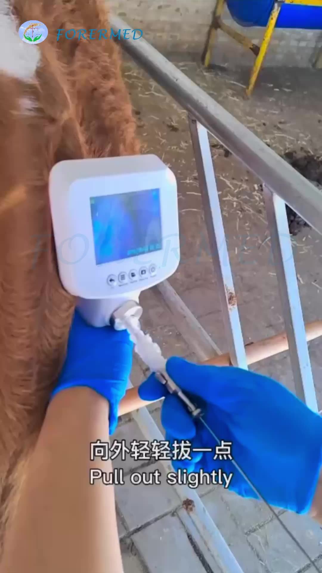 Veterinary Instrument Visual Artificialinsemination Gun Portable Ai Gun ...
