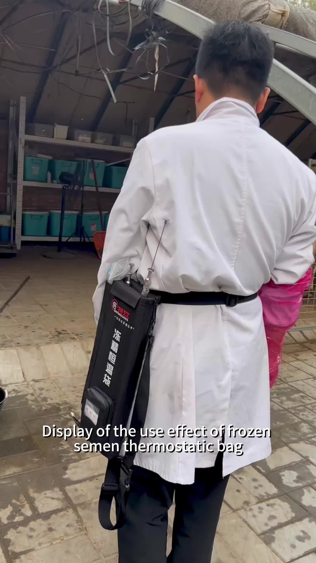 Veterinary Frozen Semen Constant Temperature Bag Cattle Artificial ...