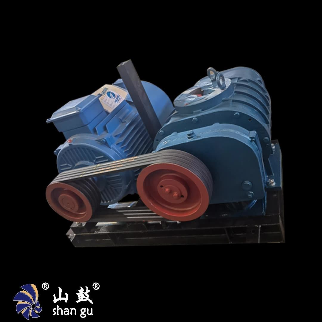 Rsr Series Positive Displacement Blower For Sewage Treatment Lobe ...