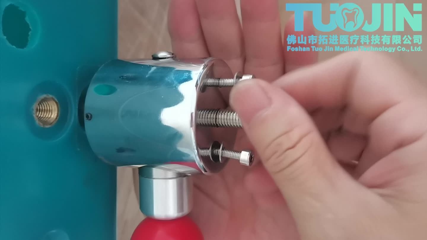 Dental Teeth Model Advanced Dental Phantom Training Simulators Head ...