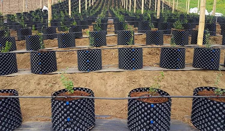 1 2 3 5 7 10 Gallon Air Pruning Container Root Pots Black Root Control ...