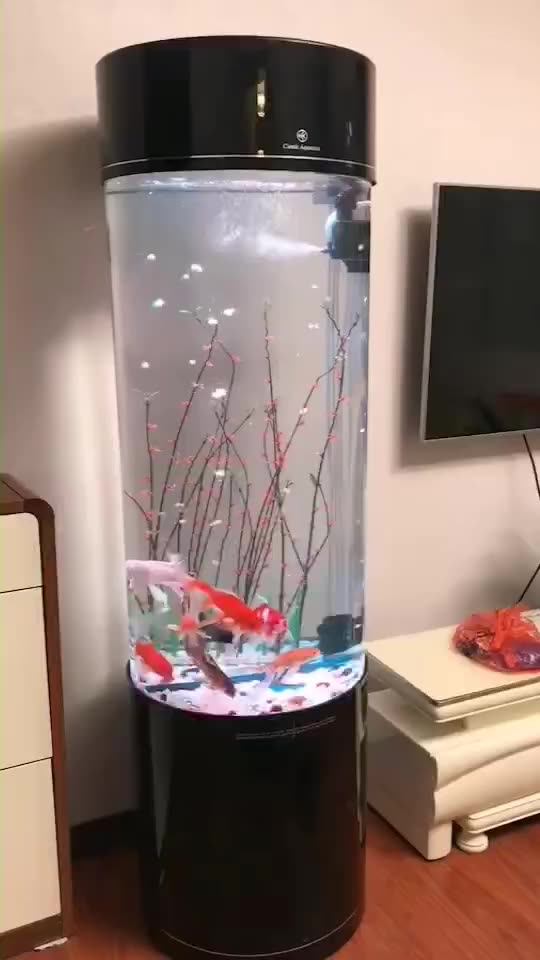 Cleair Aquatics Acrylic Aquarium Fish Tank Dia 480/600/800mm Cylinder ...