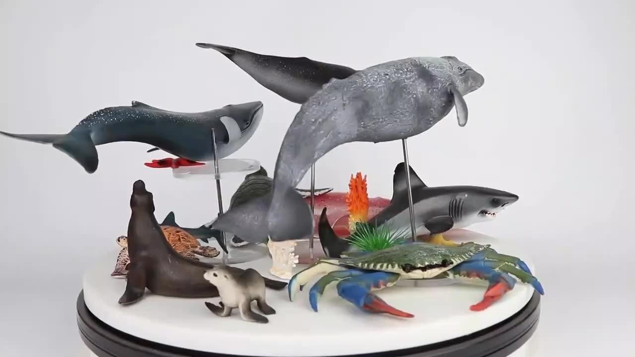 Simulation Sea Animals Hard Rubber Pvc Animal Toys Set - Buy Animal ...