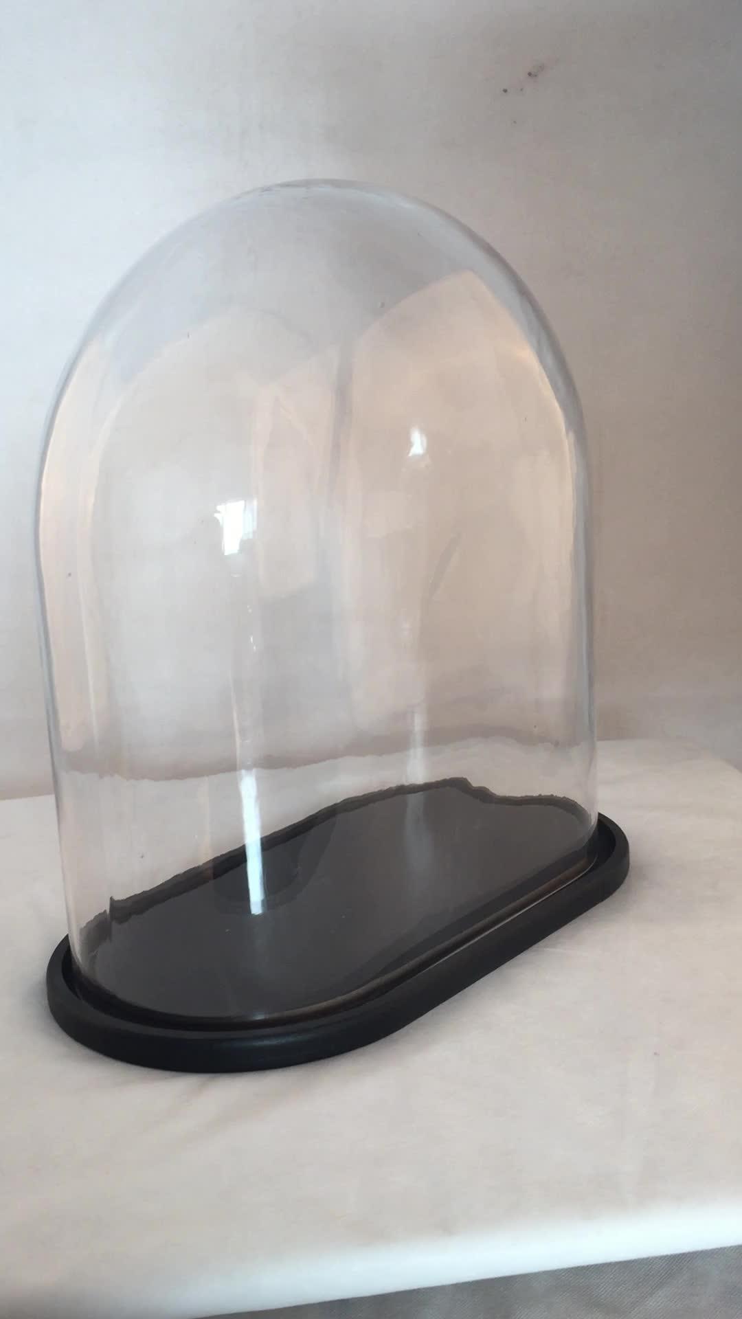 Oval Glass Dome With Mdf Wooden Base - Buy Round Glass Dome,Hight ...