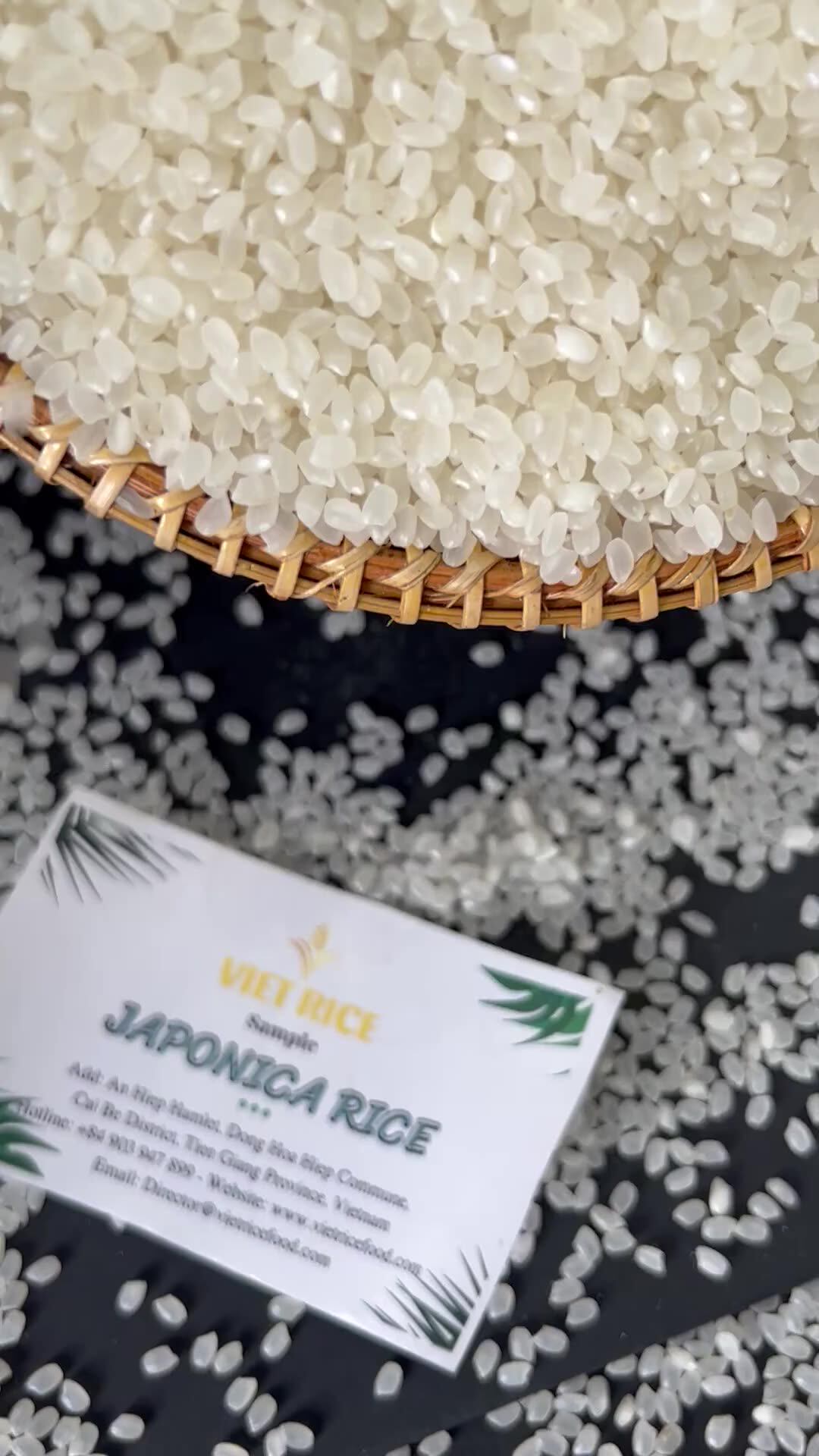 Shocking Offers On Japonica Vietnam Rice High Standards Low Prices Dry ...