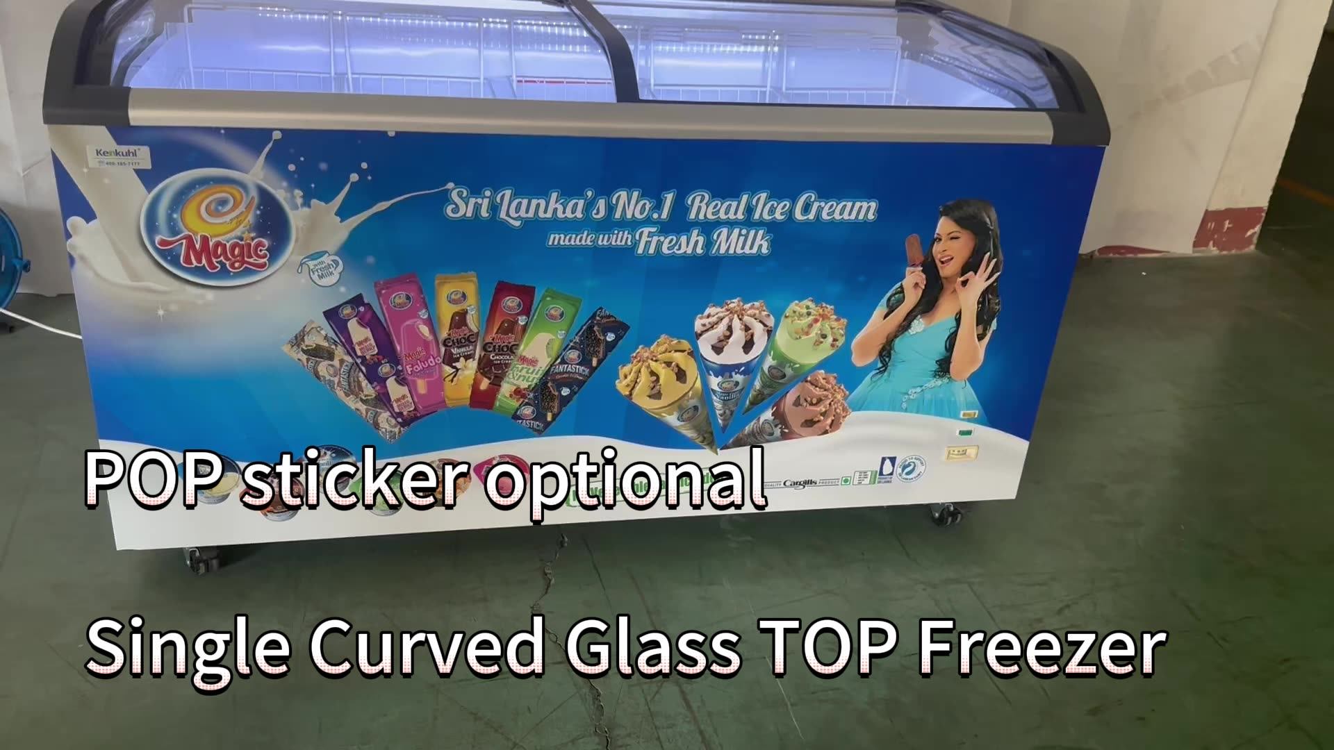 Kenkuhl Single Curved Glass Door Showcase Frozen Food Meat Commercial ...