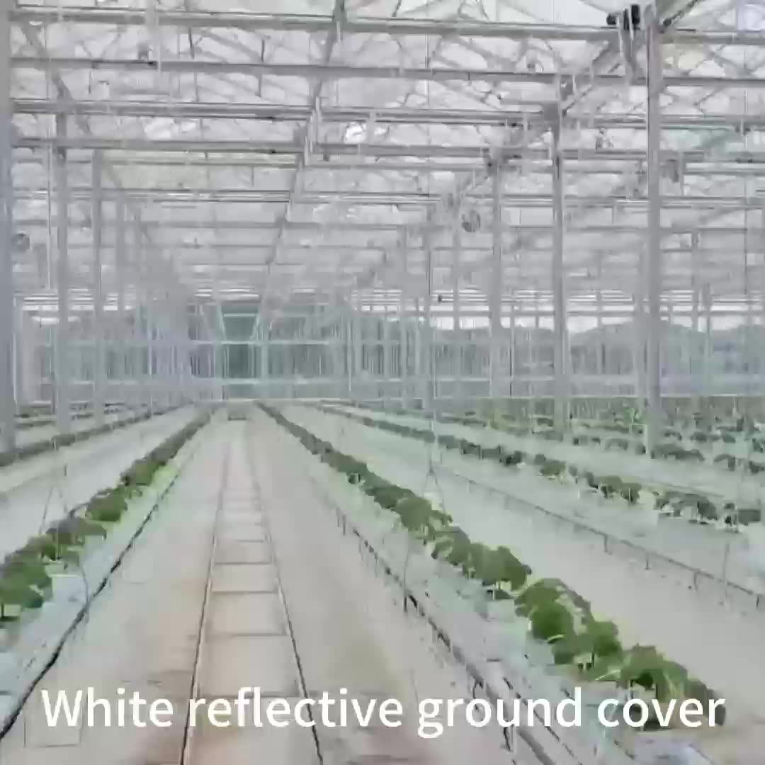 Orchard Reflective Ground Cover Reflective Weed Barrier White Weed Mat ...