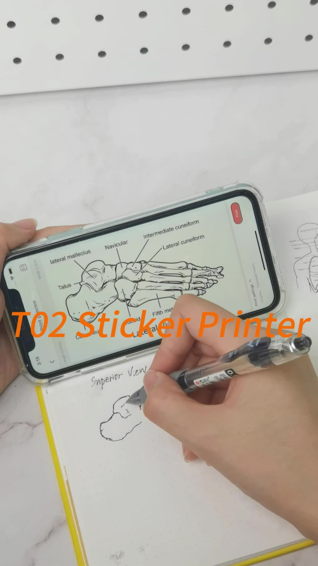 Phomemo T02 Mini Receipt Portable Receipt Printer 53mm Sticker Mini ...