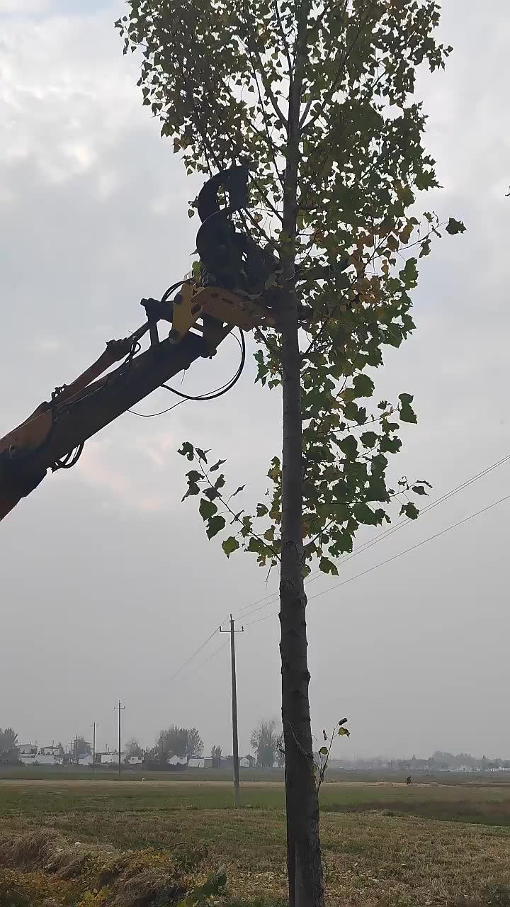 Construction Grabbing Saw Excavator Attachment Wood Cutting Tree ...