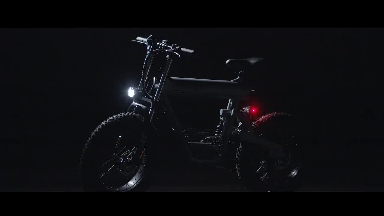 Free Shipping Coswheel T20 Electric E Bike 20 Inch Fat Tyre 10ah 15ah ...