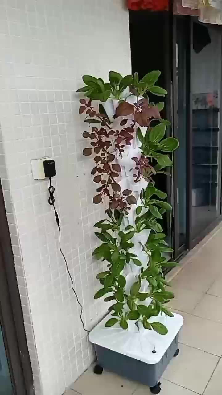 Vertical Hydroponic Growing Kit Growing System Home Garden Vegetable ...