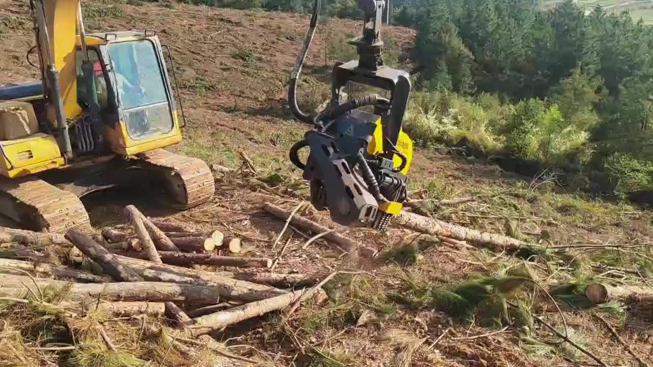 鸿信林业伐木机 挖掘机砍树机 全自动伐木机 大型伐树机-阿里巴巴