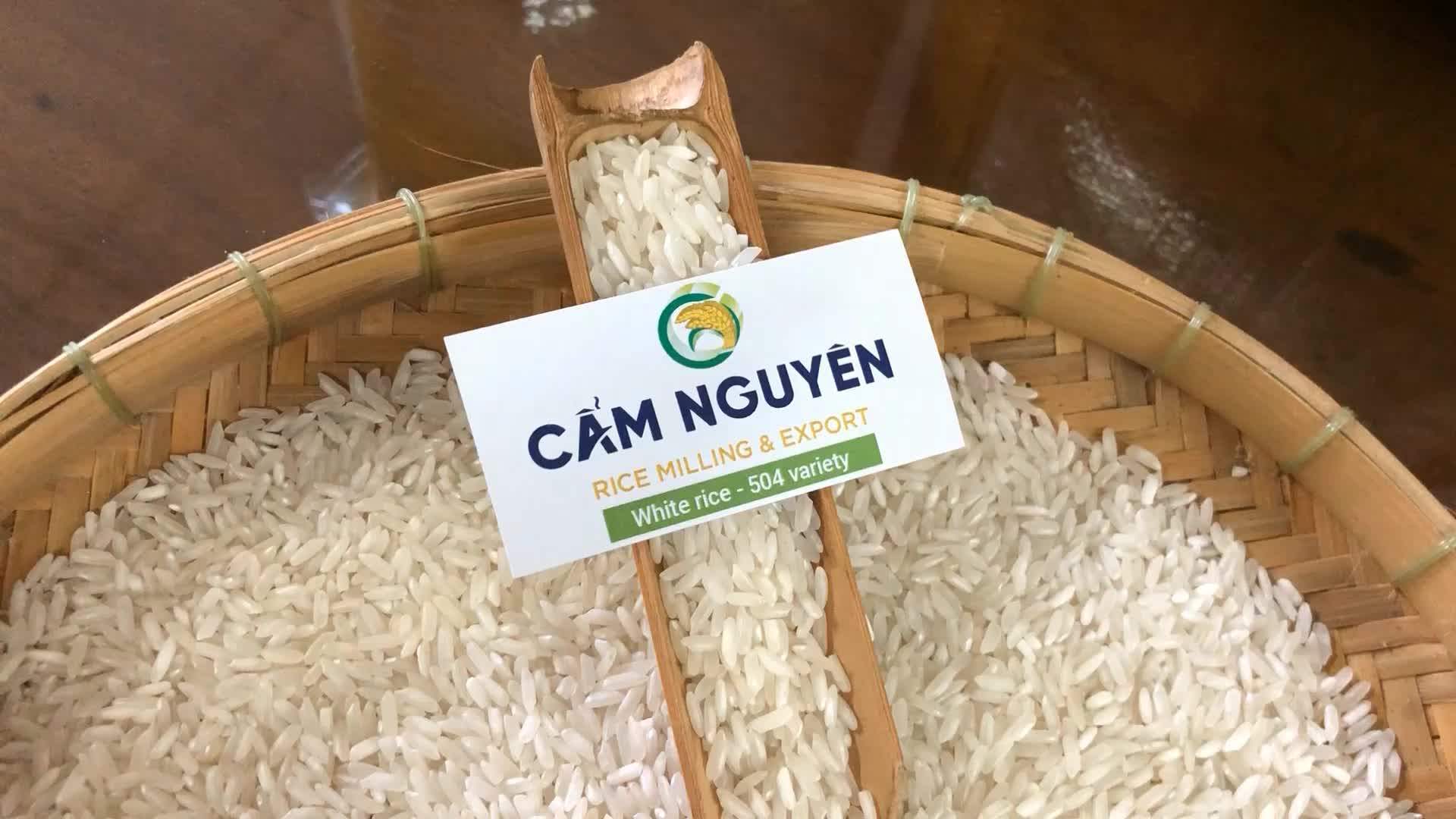 Cam Rice Vietnã Desportivo,Atacador 504 Textura Macia Variedade ...