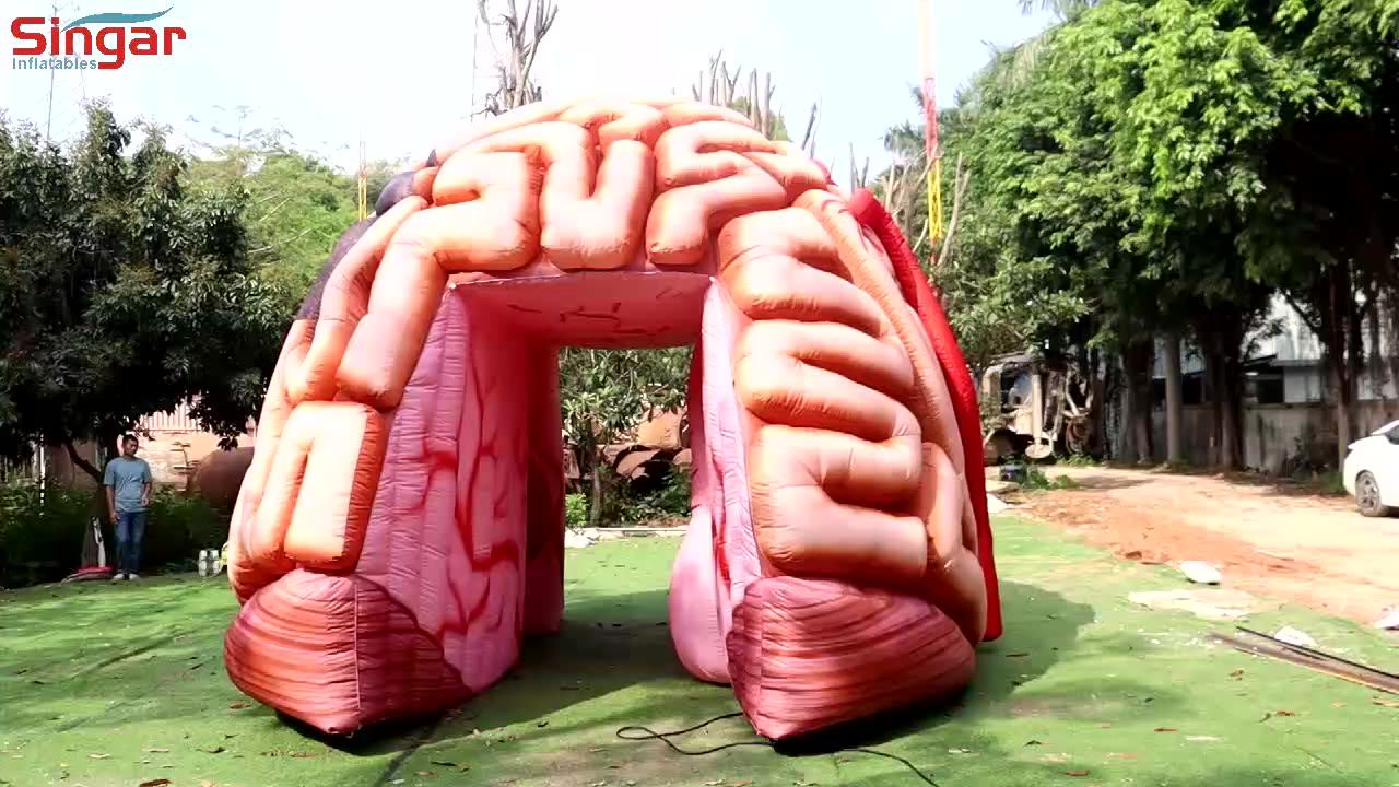 Custom Inflatables,Inflatable Medical Brain Props,Inflatable Brain ...
