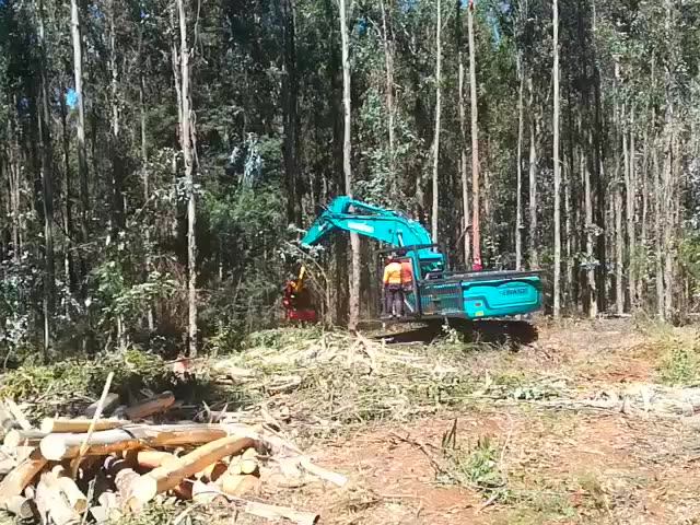 Forestry Tree Harvester Automatic Whole Tree Felling Machine Cutting ...