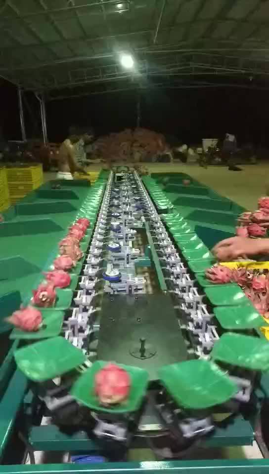 High Quality Fruit Selecting Machine / Sorting Table Belt Conveyor ...