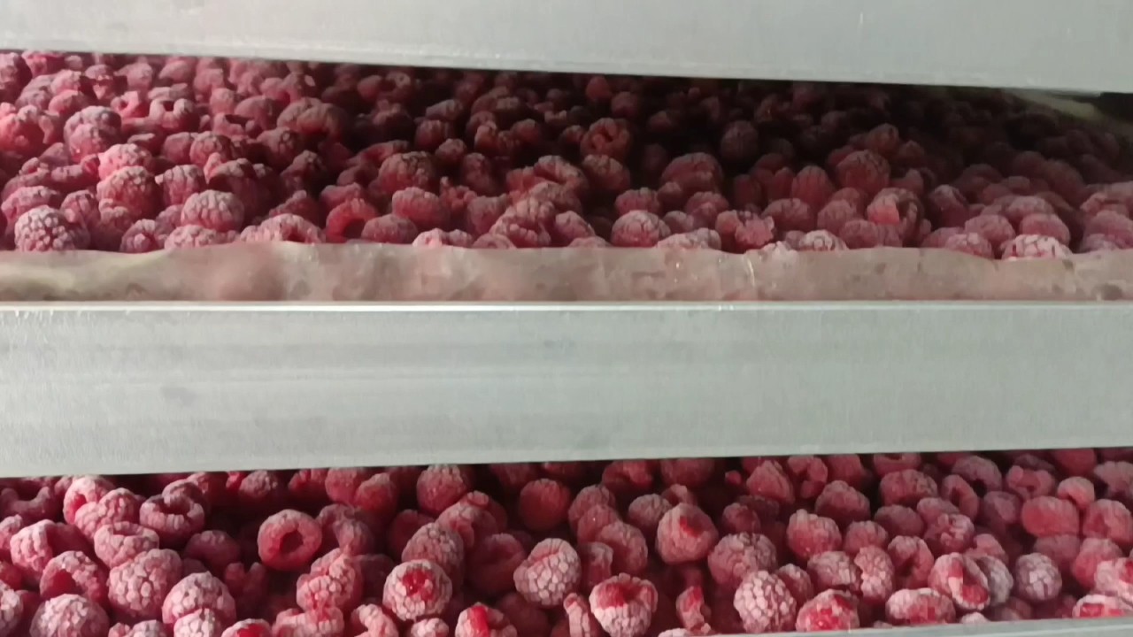 Bulk Freeze Dried Raspberry Powder Dessert Cake Decoration Sour ...