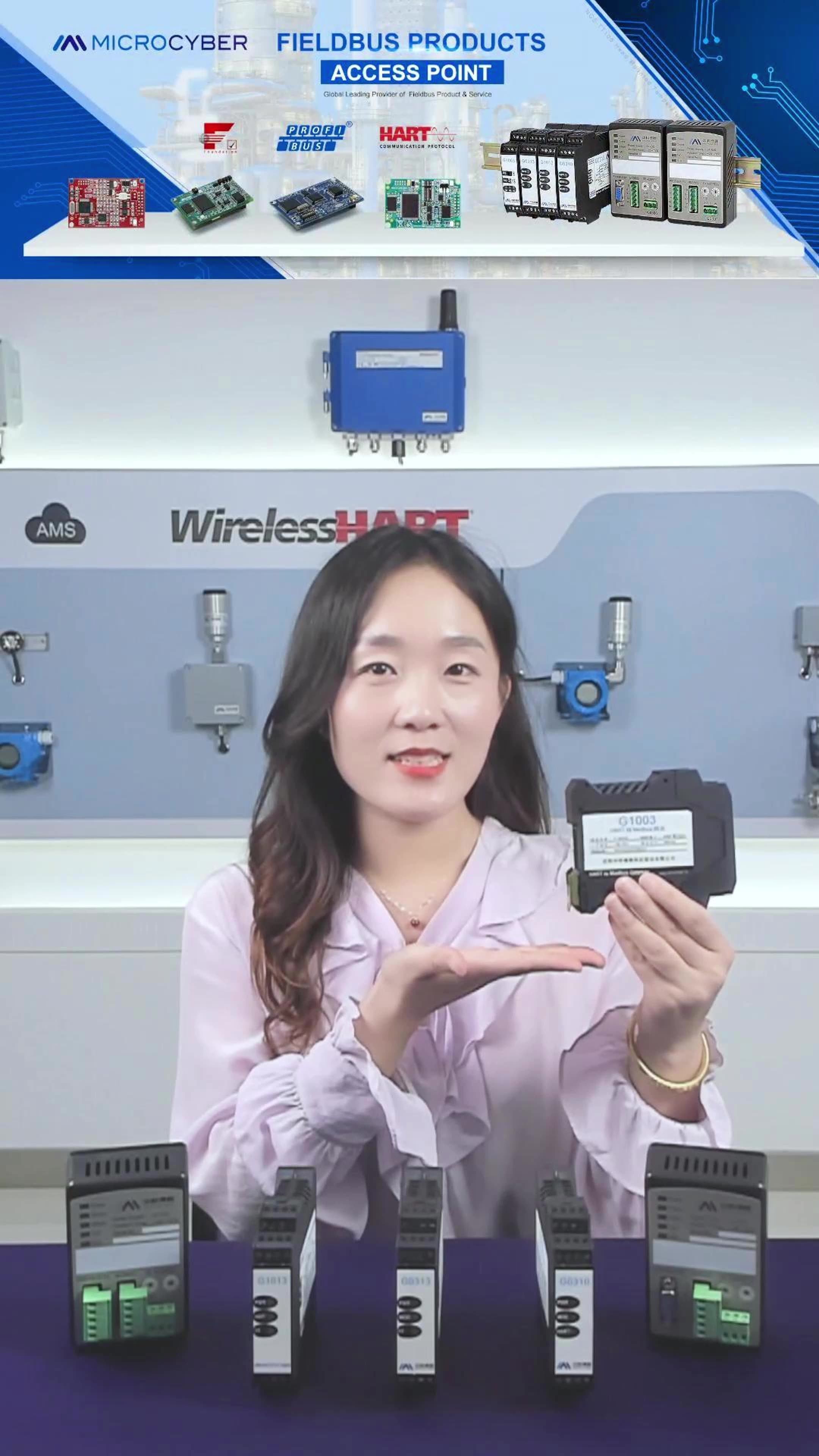 G1003 Hart To Modbus Gateway - Buy Hart Modbus Gateway point To Point ...