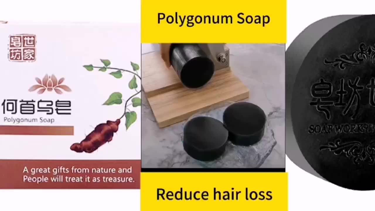 Polygonum Multiflorum Extract Prevent Hair Loss Oil Control Supplement ...