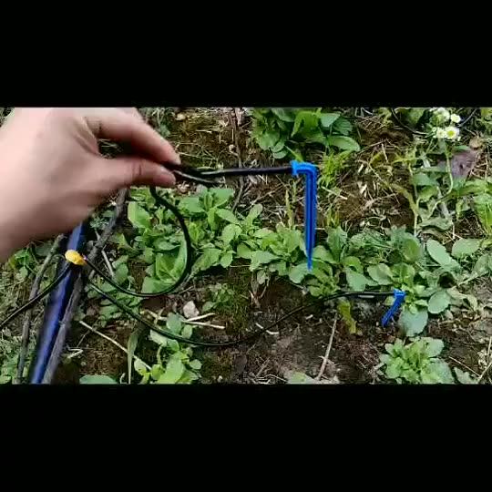 Garden Arrow Drip Stick 4-way Curved Arrow Dripper Irrigation Drip ...