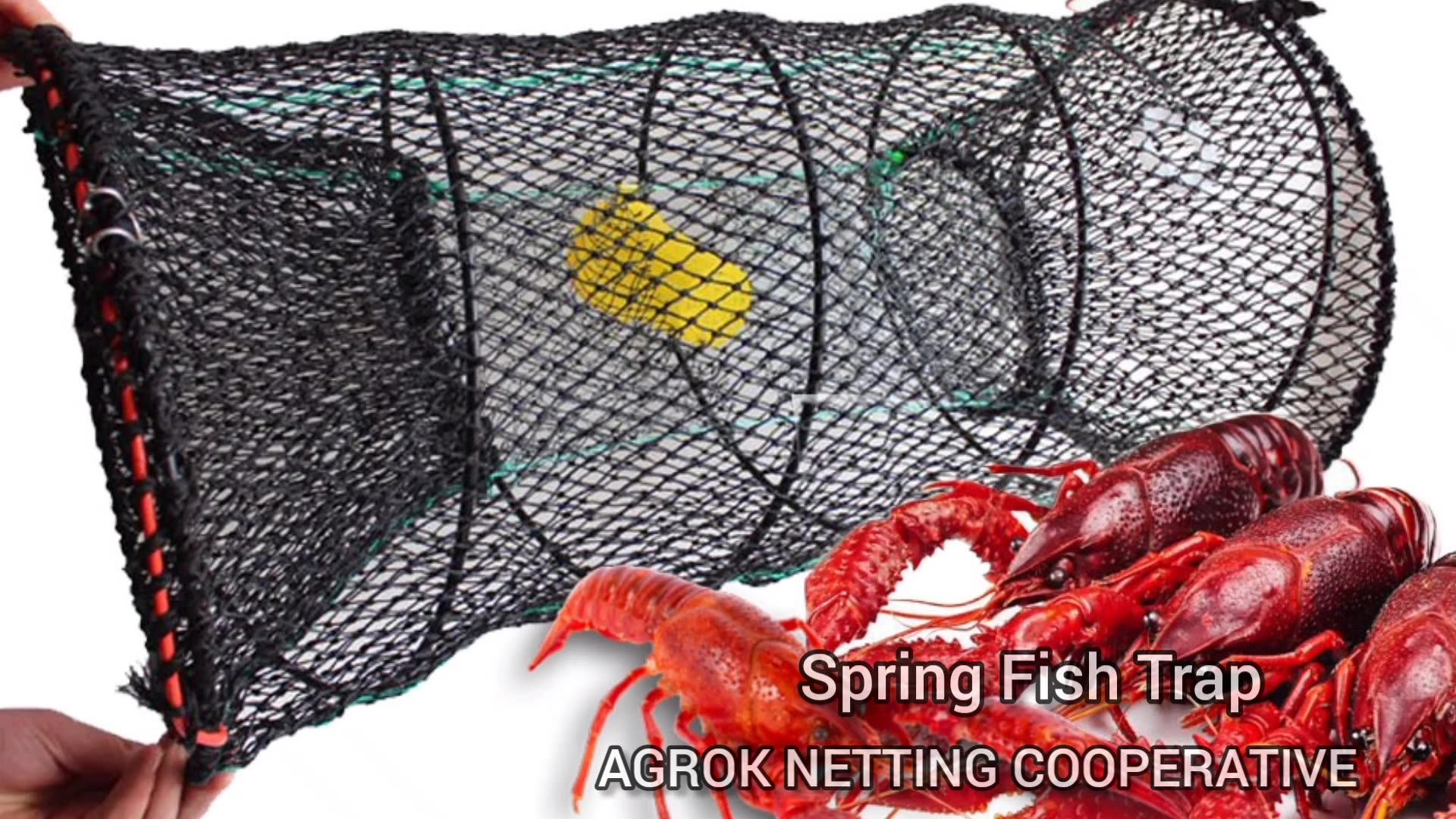 Big Turtle Trap Large Fish Trap Cage Pe Net Cage - Buy Turtle Trap ...