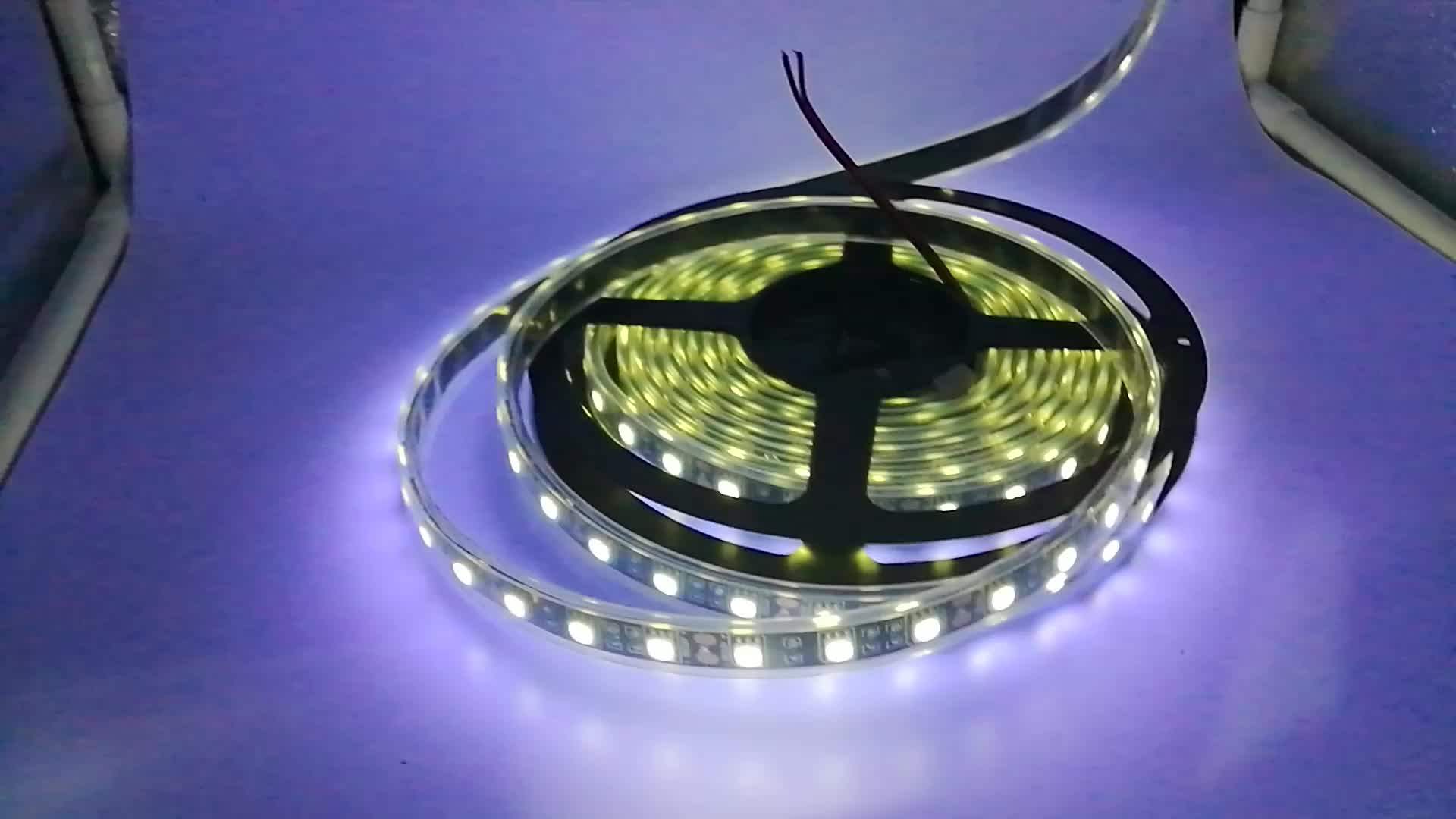 Shenzhen Factory Dc12 / 24v Ultraviolet Smd 5050 2835 Uv Led Strip ...
