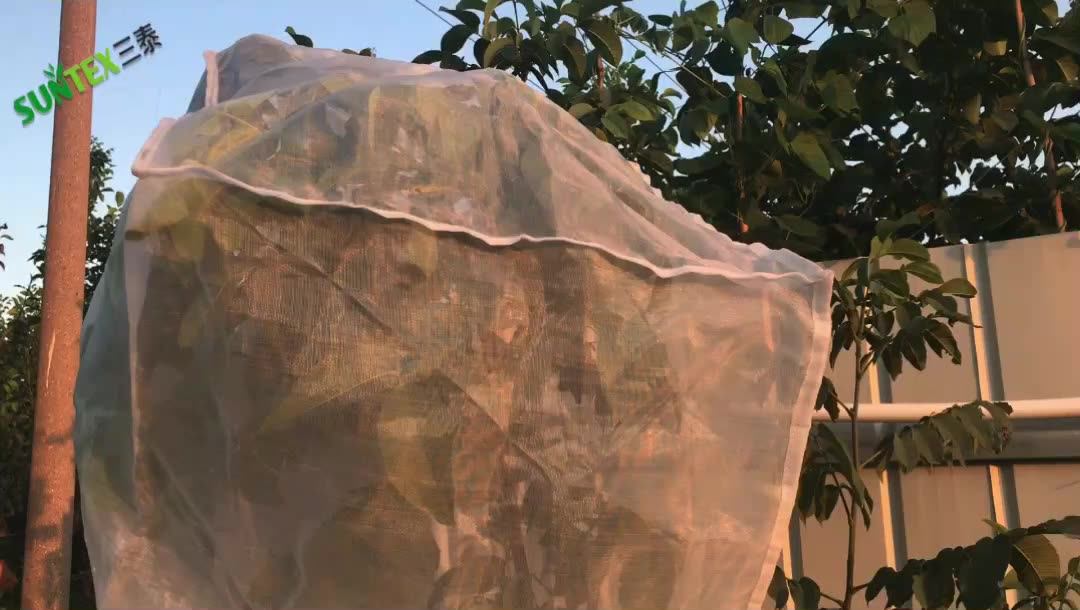 Suntex Heavy Duty Citrus Tree Bags Anti Insect Cover Harvest Protection ...