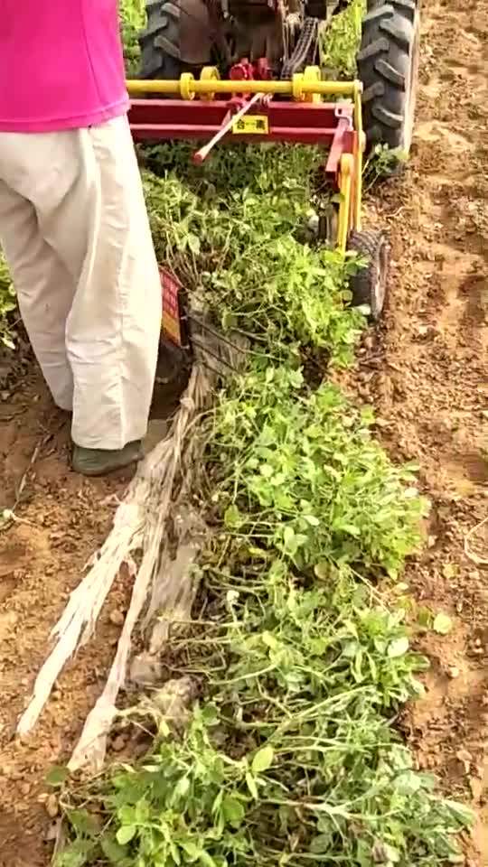 Mini Hand Tractor Kubota Price Philippines - Buy Walking Garden Tractor ...