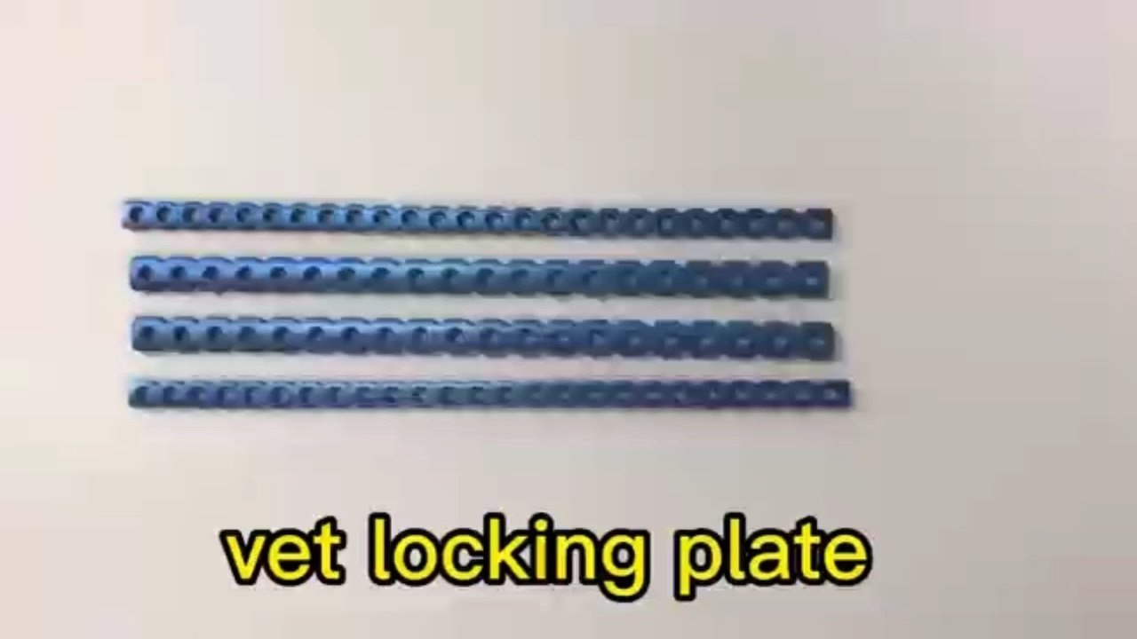 New System Advanced Locking Plate System Veterinary Orthopedic Bone ...