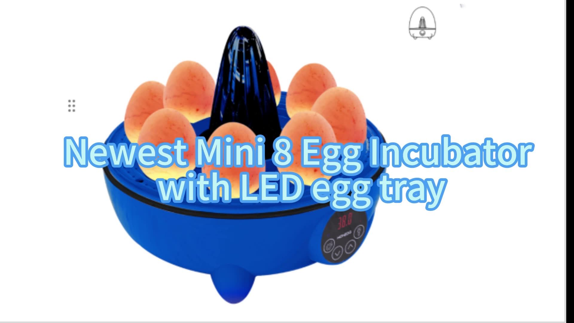 Wonegg Newest Mini Yd8 Egg Candling Machine Eggs Incubator Automatic ...
