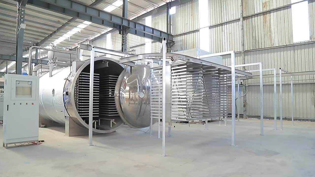 Industrial Vacuum Continuous Freeze Dryer Lyophilizer Food Fruit Freeze ...