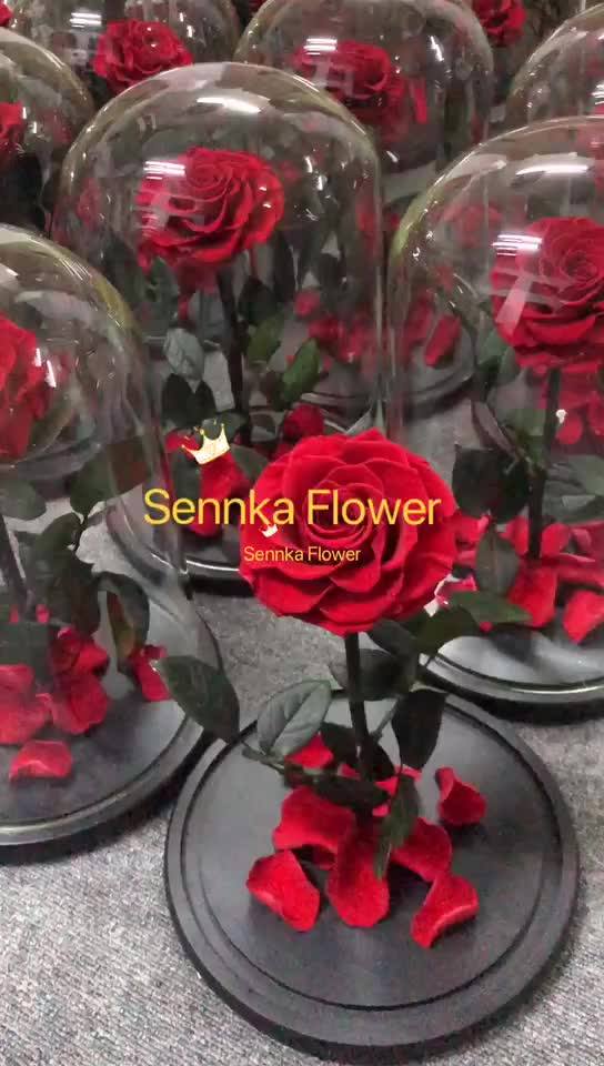 Supply Stabilized Everlasting Rose Natural Preserved Flower In Glass ...
