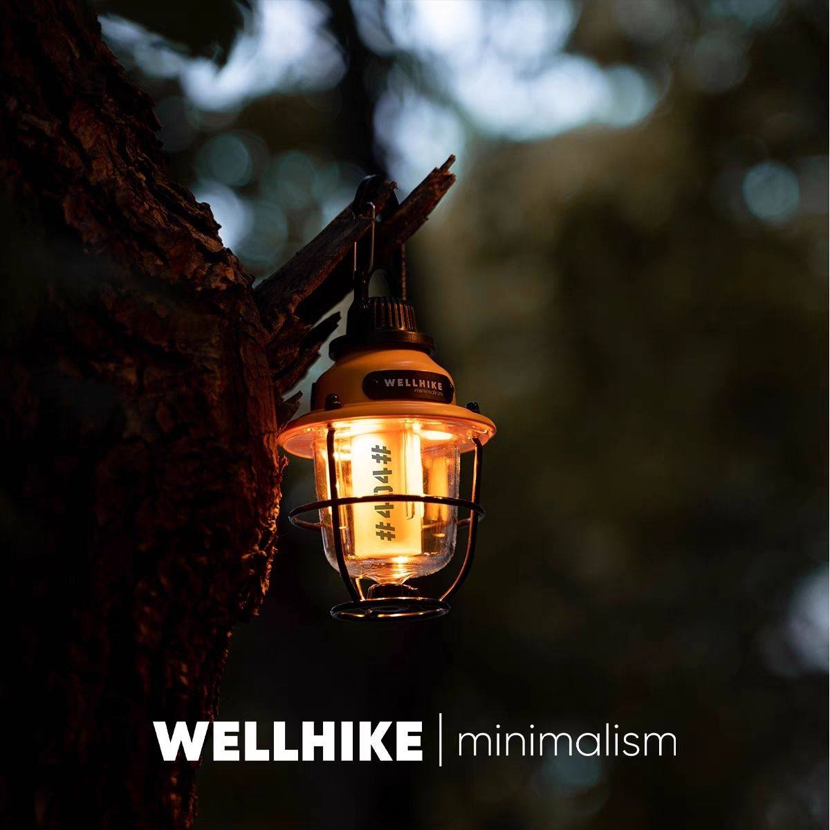 2025年露营党必入！WELLHIKE松果灯超长续航实测，36小时亮如白昼🔥-营地灯-淘宝好物网