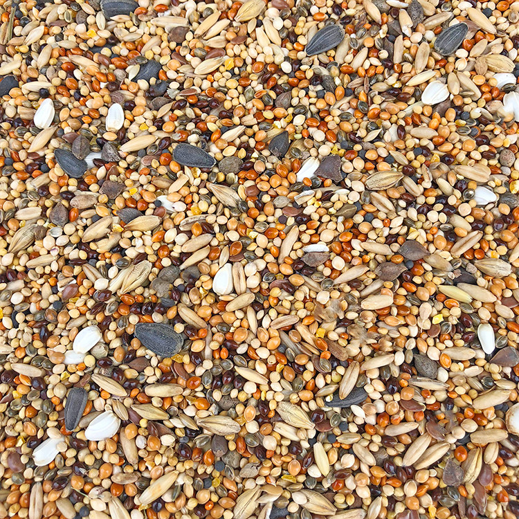 [USD 12.71] Parrot mixed grain birds Peony Xuanfeng and other small and ...