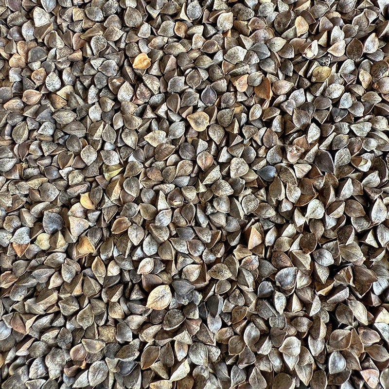 鹦鹉大中型鸟类专属！原荞麦带壳荞麦仓鼠谷物鸟粮，营养美味新选择！-鸟食-淘宝好物网