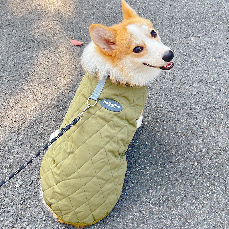🐶 Corgi & shiba inu winter warm vest, thickened vest with leash ...