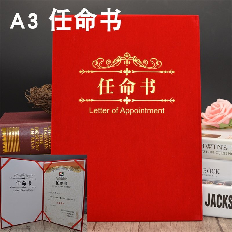 [USD 6.29] A3 Appointment Certificate Honorary Letter of Appointment ...