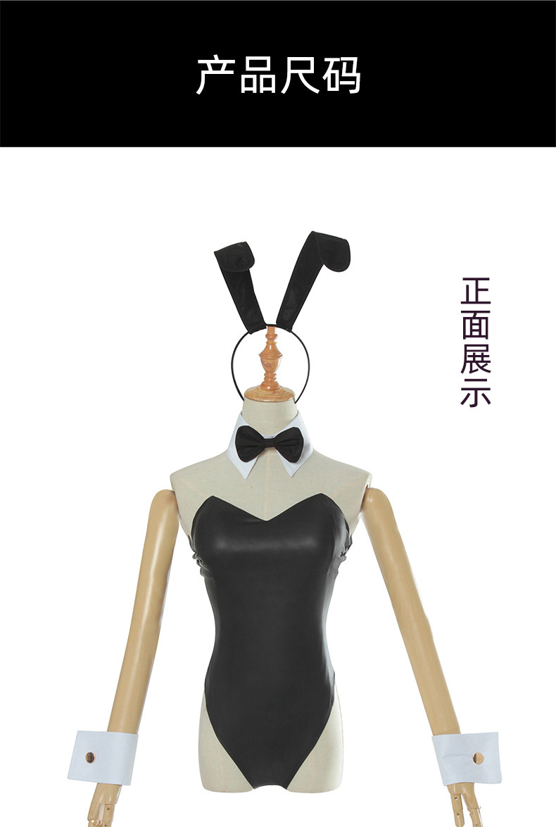 Bunny Girl Bunny Girl Cosplay costumes #380340 | Bhiner