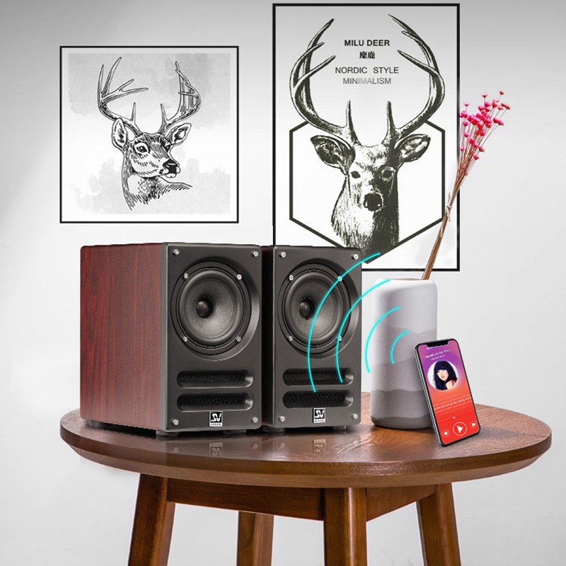 🎶 A must-have for music lovers! sowei s840b bluetooth audiophile ...