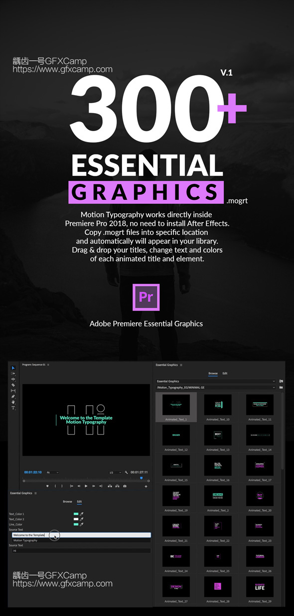 AE/PR脚本模板预设-500组现代商务婚礼文字标题排版字幕动画V5 | 龋齿一号GFXCamp