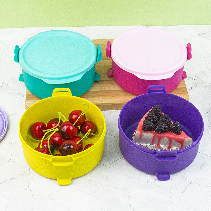TBWWIKRILI Portable Bowl with 4 - piece set 550ML with handheld ...