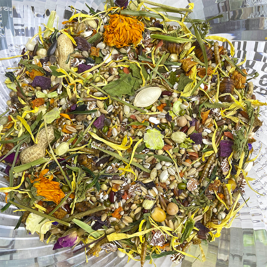 Give your beloved pet the best choice 🌟 | Special food for golden bears ...