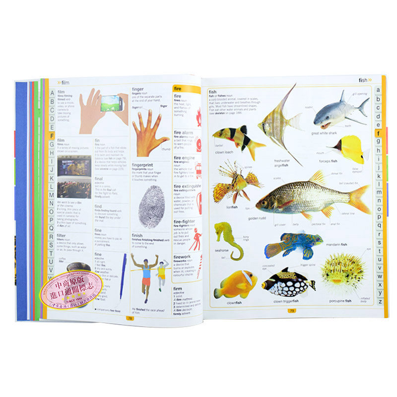 Купить Оригинал других 英文原版 dk儿童图解字典词典 children's illustrated ...