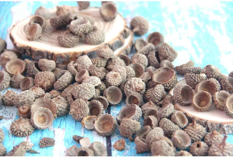 7WLO acorn shell fruit decoration diy handmade kindergarten ...