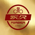 上海永久自行车企业店