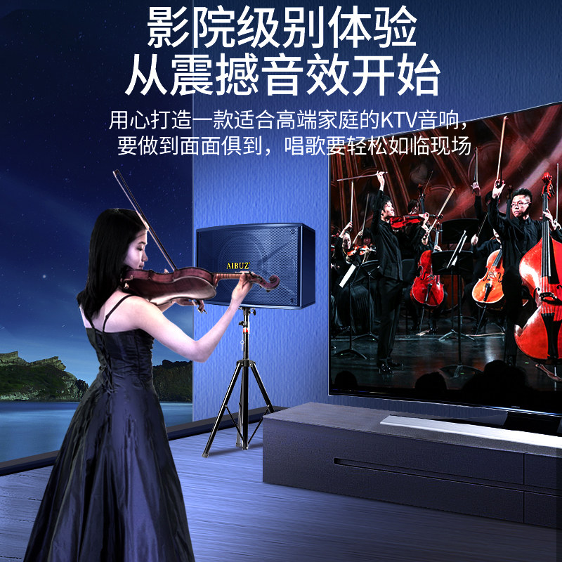 全家嗨唱不停！家庭KTV音响套装推荐，客厅秒变演唱会🎤🔥_KTV_淘宝数码网