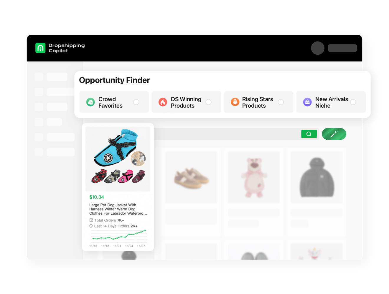 Dropshipping Copilot Making Global Aliexpress Dropshipping Simple