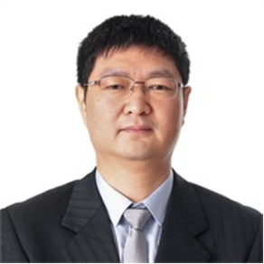 Adversarial Robustness Benchmark