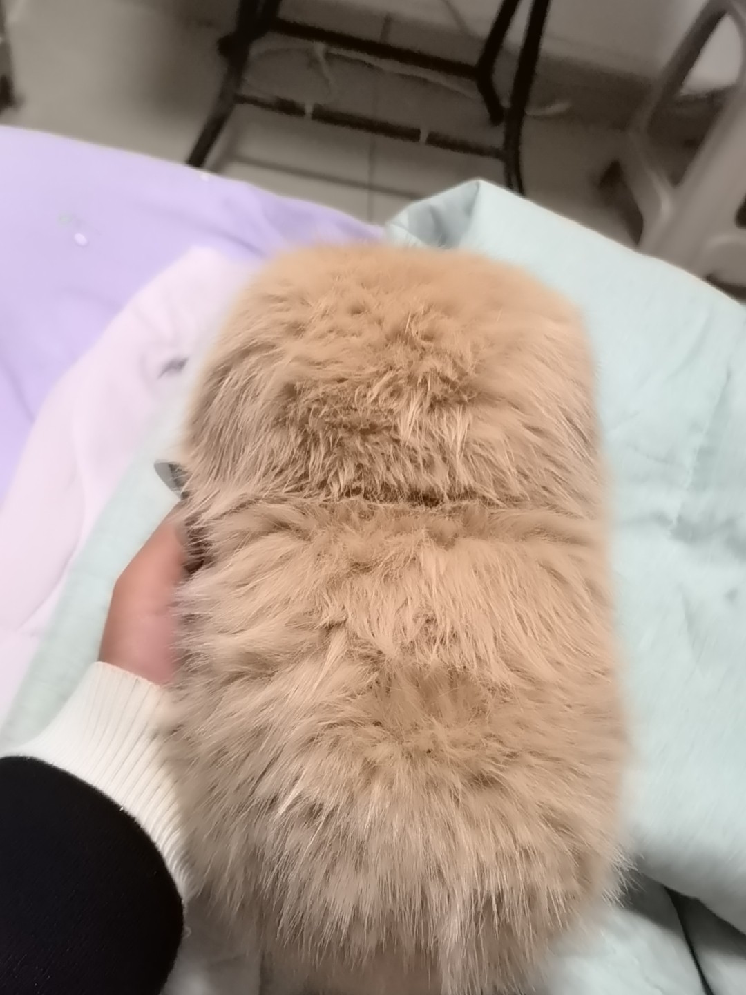 Cupboo咘咘智能宠物机器人AI毛绒机器宠物幼兽陪伴机器人生日礼物评价 - 淘宝网